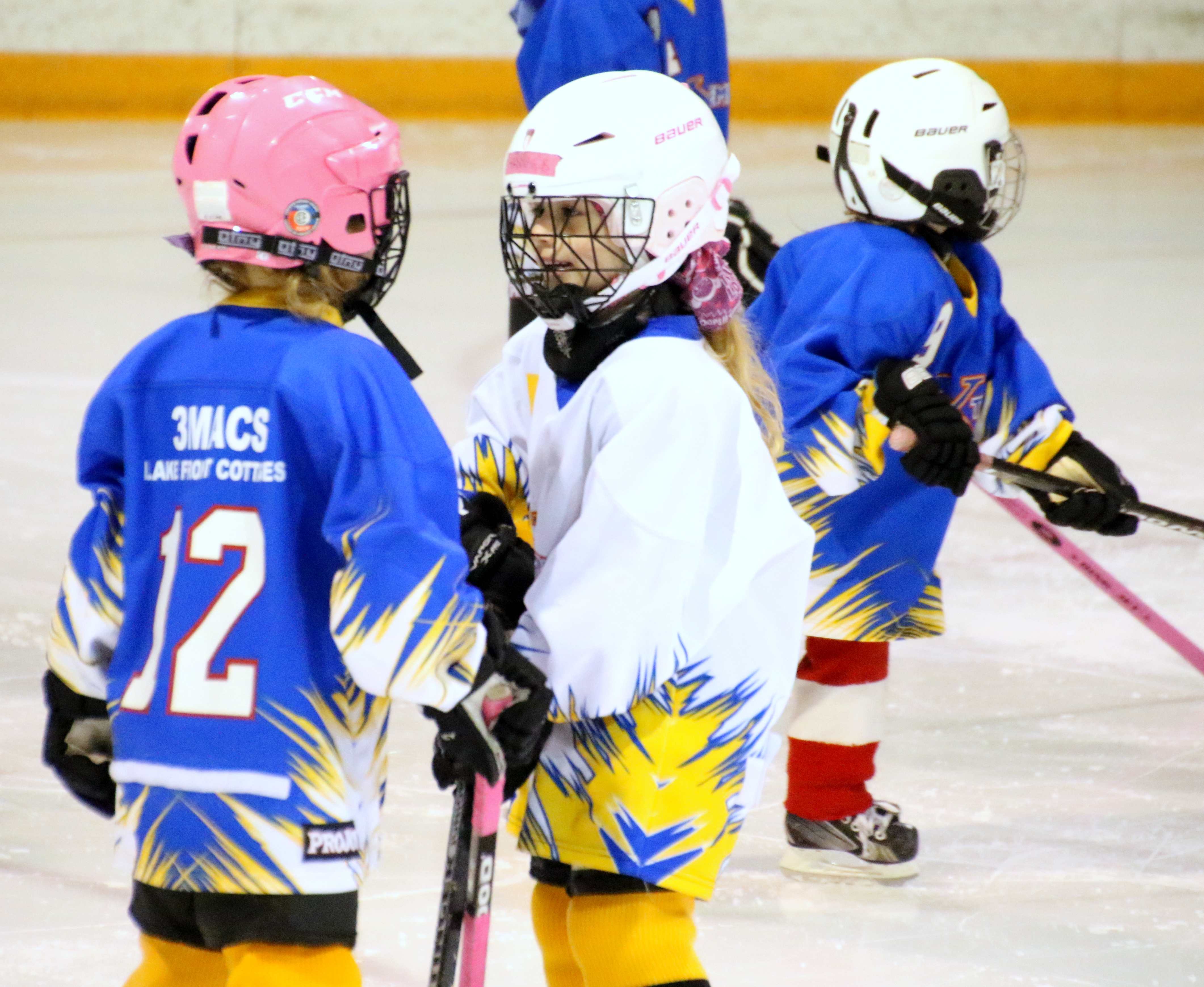 Forest Xtreme Ringette : Website by RAMP InterActive